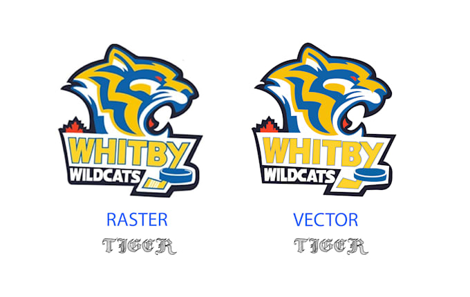 Vector tracing, convert, redraw logo professionally by Meetmakwana484 ...