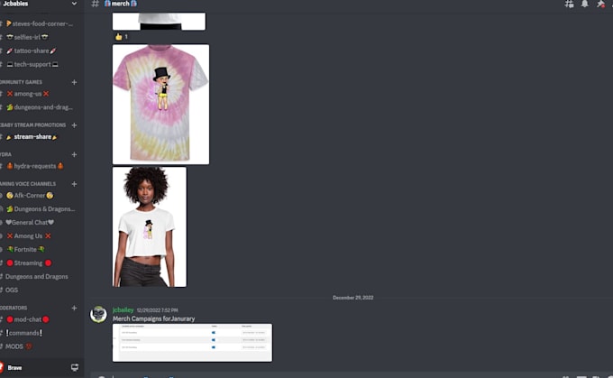Create, organize, and make your discord stand out by Joelchuning | Fiverr
