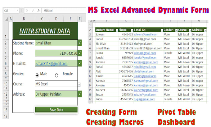 Create excel charts, macros, pivot tables, dashboards, and data entry ...