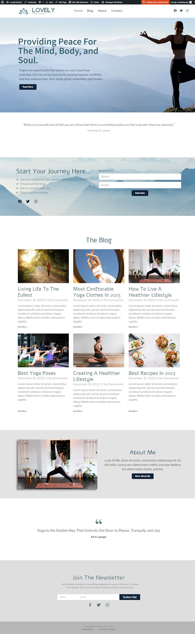 Develop a custom and responsive wordpress website by Webstrong | Fiverr