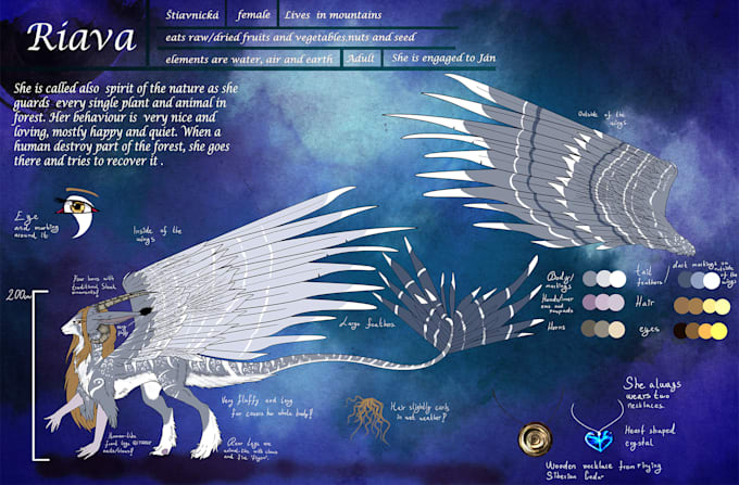 Do simple or detailed reference sheet of your fantasy character by ...