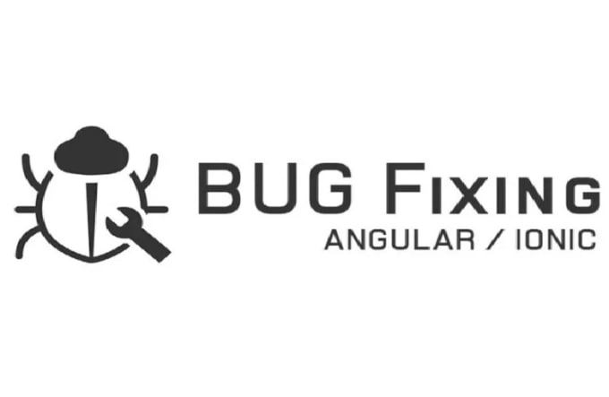 Develop Your Angular Web App Mobile App And Fix Bugs By Khemaisbey Fiverr