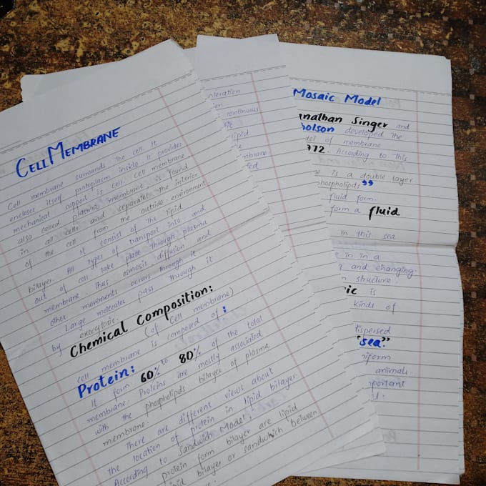 Do handwriting notes and letters by Arinams | Fiverr