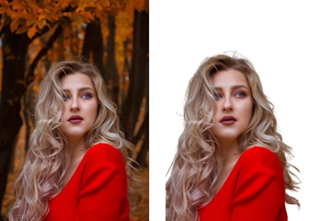 Do remove background in 20 images perfectly and superfast by ...