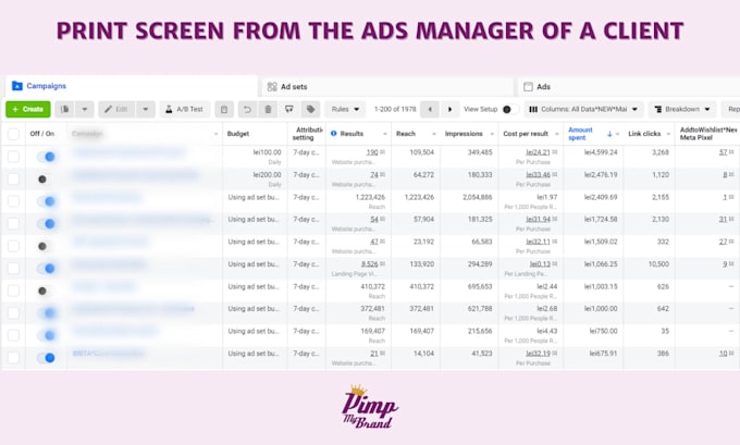 Run the most profitable facebook ad campaigns for you by Annamusat | Fiverr
