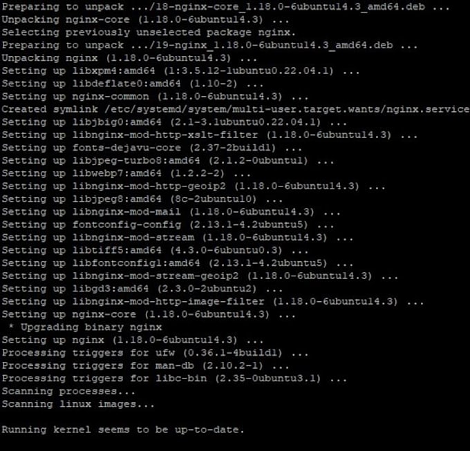 Install and configure apache, nginx, docker and others on your system by Thilagavathi_11 | Fiverr