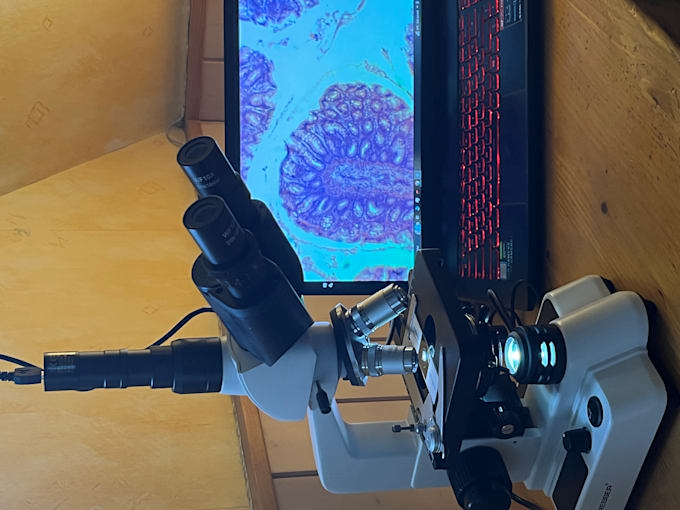Observe and take pictures samples under the microscope by Grimbiology | Fiverr