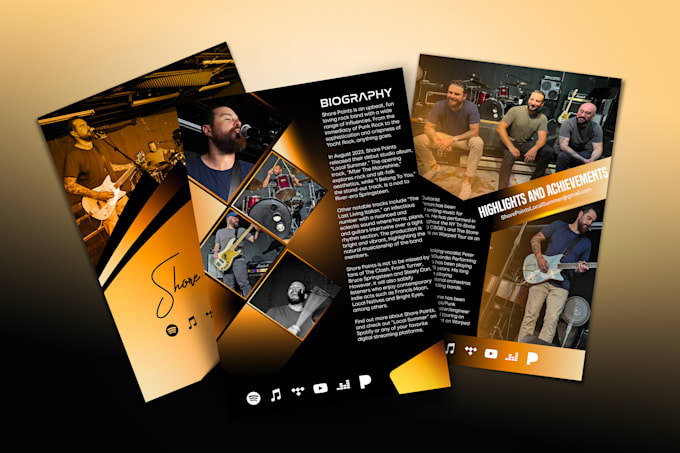 Design advance level epk, electronic press kit, media kit, artist ...