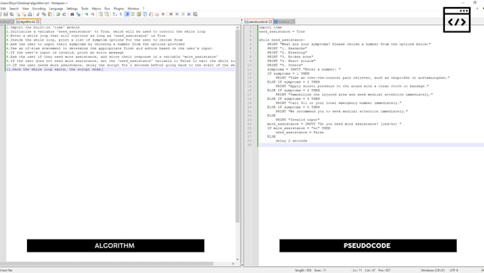 Create pseudocode for your code by Rhys_rr | Fiverr