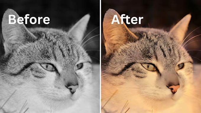 Professionally colorize any black and white photo into a color photo by ...