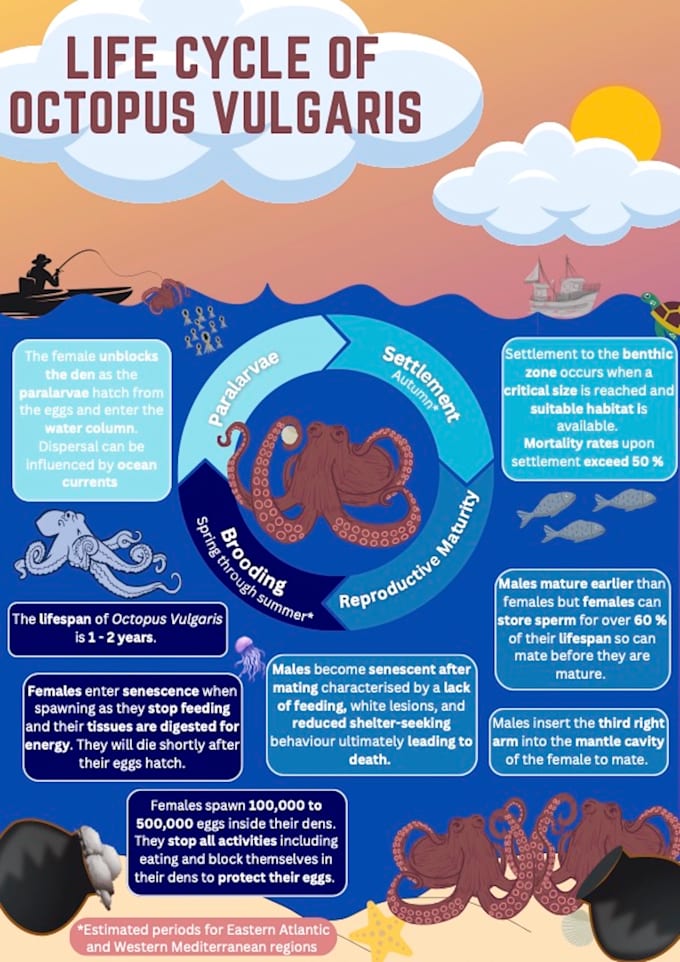 Design a science or educational infographic by Elly99657 | Fiverr