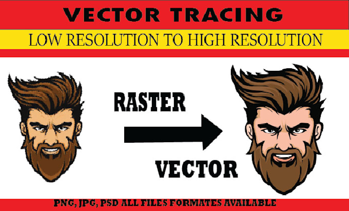 Do vector tracing, raster to vector conversions by Nimralatif1 | Fiverr
