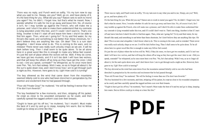 Text from jpeg to pdf by Gian9821 | Fiverr