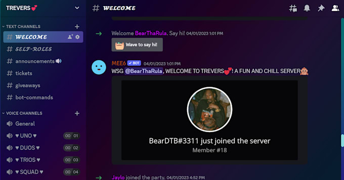 Make discord servers and logo designs by Trapsmind | Fiverr