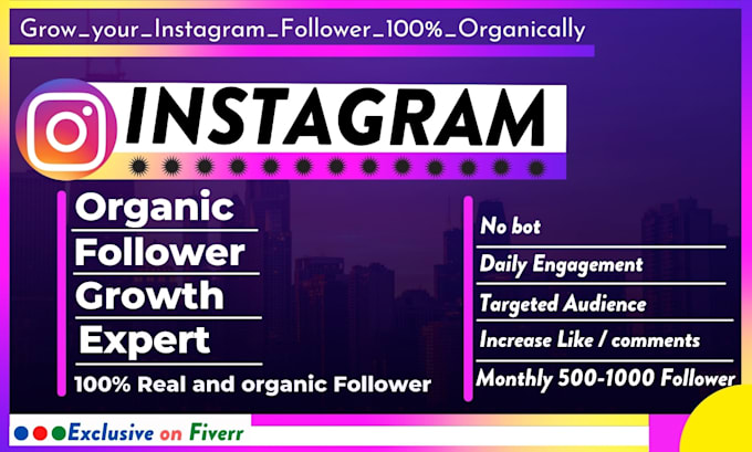 Do Fast Instagram Organic Growth With Real Follower By Socialexpert360
