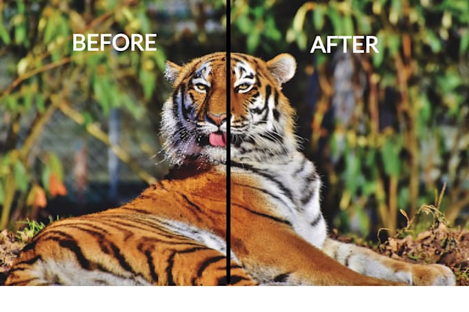 Use topaz gigapixel ai to upscale and increase image resolution to hd ...