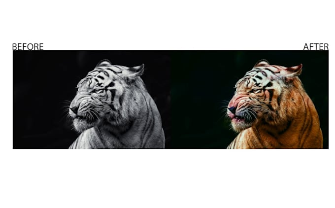 Colorize your old photos without color by Nixorde_ | Fiverr