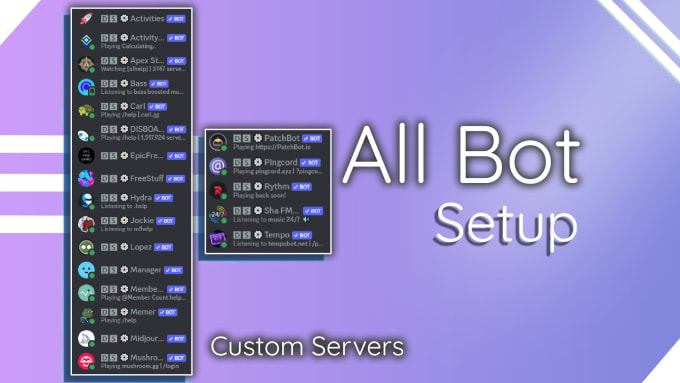 Design a perfect discord server in 24 hours by Astrastudio64 | Fiverr