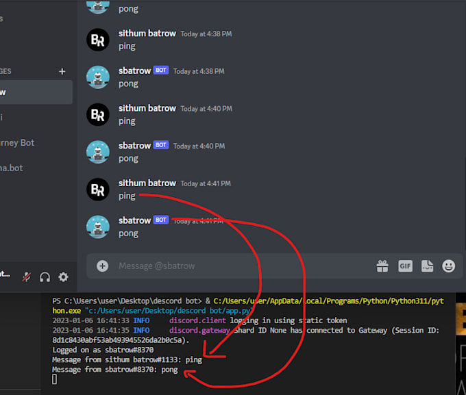 Make your custom discord bot in python by Sithumtaruka | Fiverr