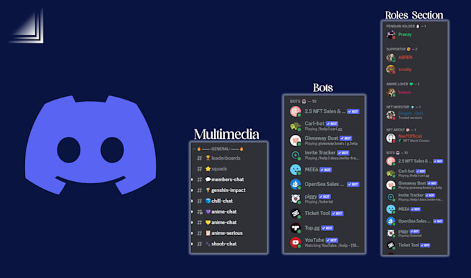 Setup custom discord server professionally by Mfmehmood | Fiverr