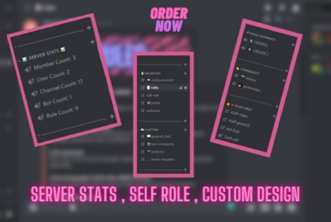 Setup a professional custom discord server within 24 hours by Lifox22 | Fiverr