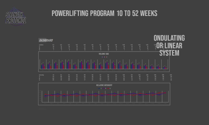 Make you a custom raw powerlifting program by S_protokol | Fiverr