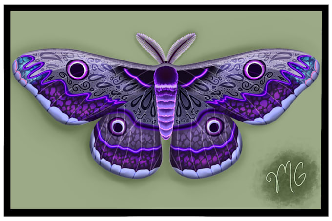Draw a custom butterfly, moth, or insect by Megansmushrooms | Fiverr