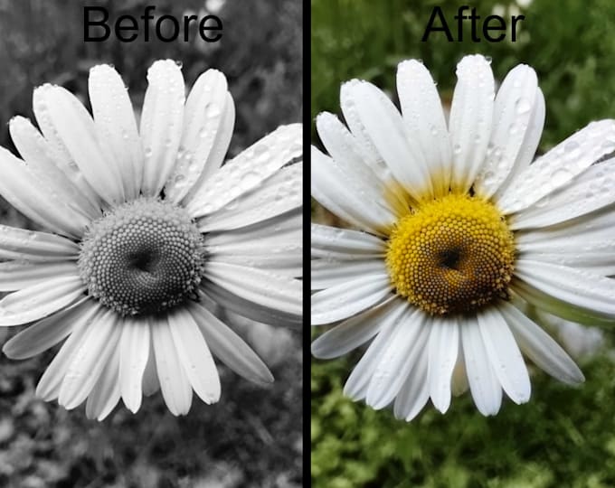 Colorize black and white hd photo by Designtohappy | Fiverr