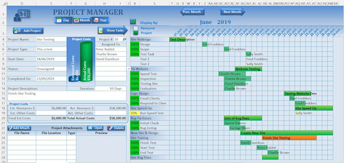 Create professional microsoft excel based project management module ...