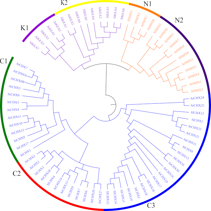 Do Biological Data Analysis And Visualization By Bioinformatics Tools