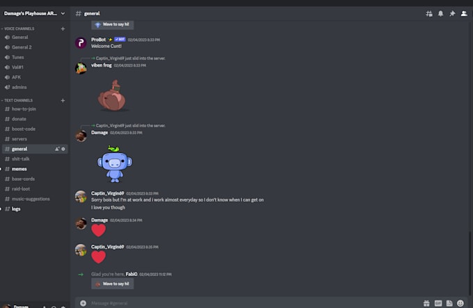Make you a discord server based off of your needs by Damage606 | Fiverr