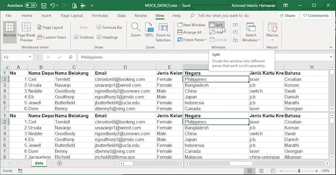 Do expert data entry in excel and google sheet by Kanagita | Fiverr