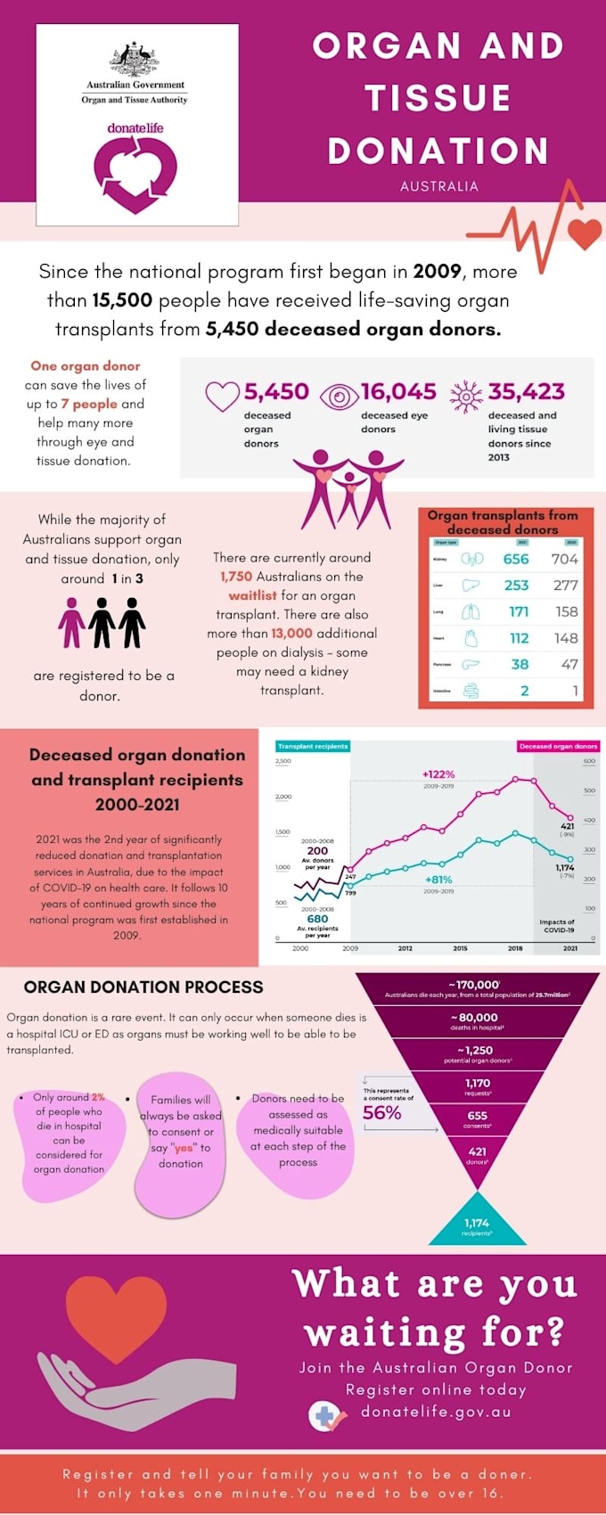 Design creative, unique and professional infographics by Vindi__00 | Fiverr