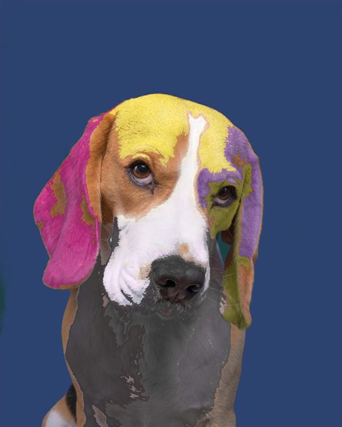 Draw your dogs or any pets into cartoon portrait by Miaosborndf51 | Fiverr