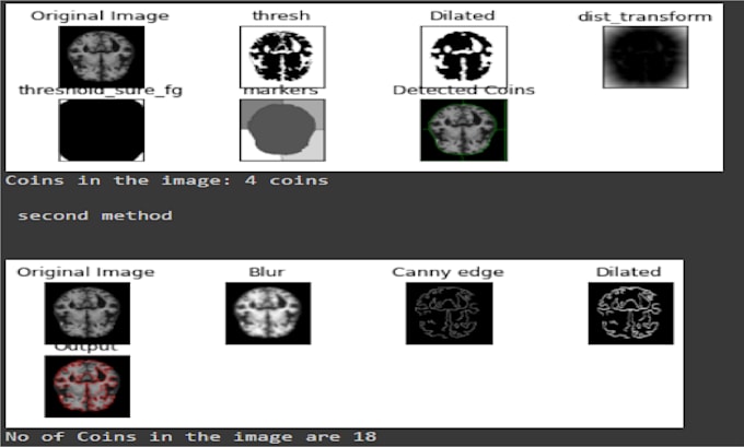 Do biomedical image, signal processing research in python by Cool_designer22 | Fiverr