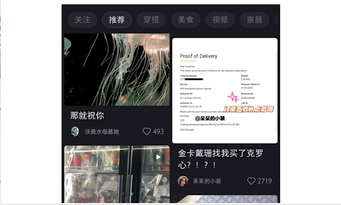 Your xiaohongshu redbook china social media assistant by Yuiwu588 | Fiverr
