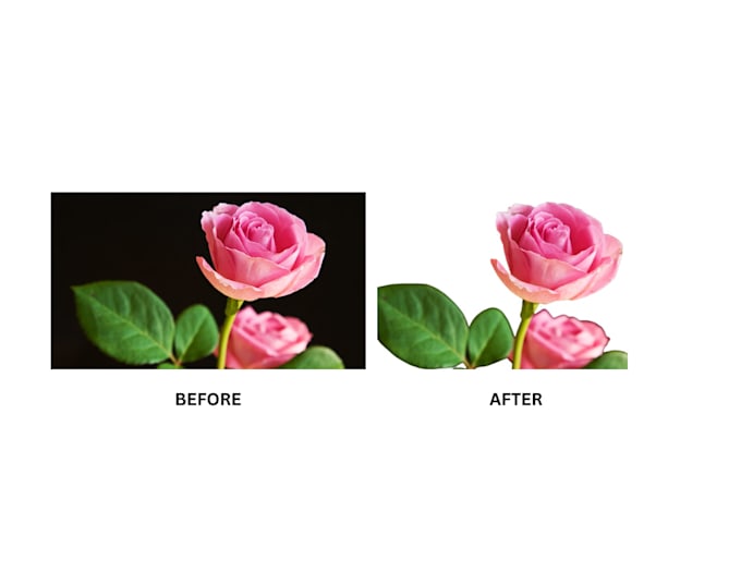 Do removing and putting plain backgrounds using preferred application ...