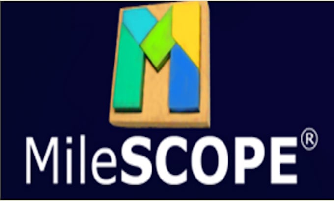 Create a user friendly web application for you business by Aloiberlene | Fiverr