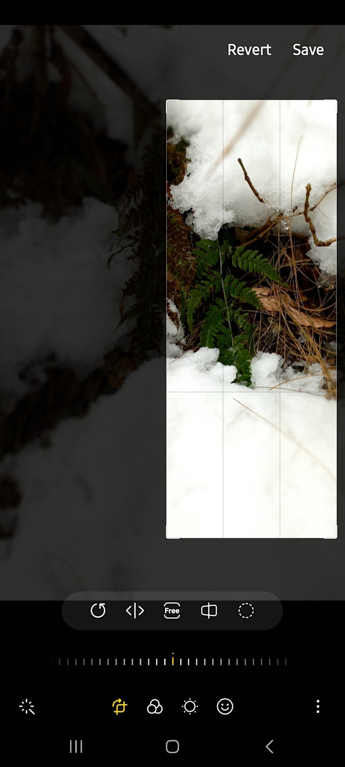 Crop,rotate and resize images perfectly by Gloriousimaging | Fiverr