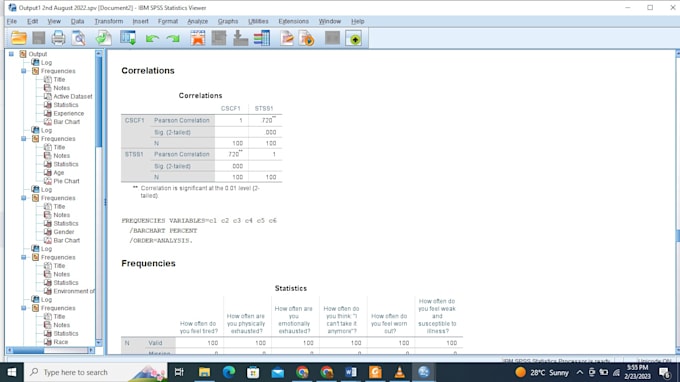 Do Statistical Data Analysis On Spss R Programming Stata And Excel By