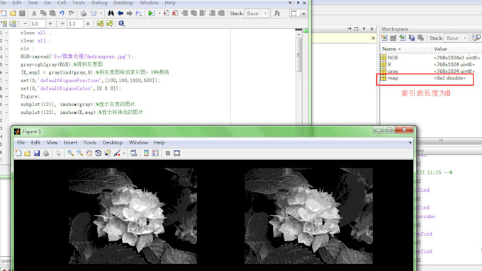 Do matlab and python image processing and 3d vision tasks by Delialiu1247 | Fiverr