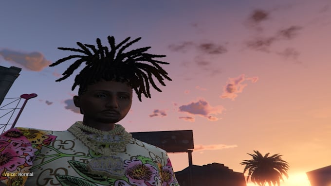 Build a custom vmenu fivem server by Rashoanbrown797 | Fiverr