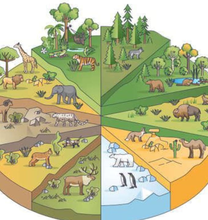 Write Environmental Science Articles And Assignments By Tubaanwar207 write-environmental-science-articles-and-assignments-by-tubaanwar207