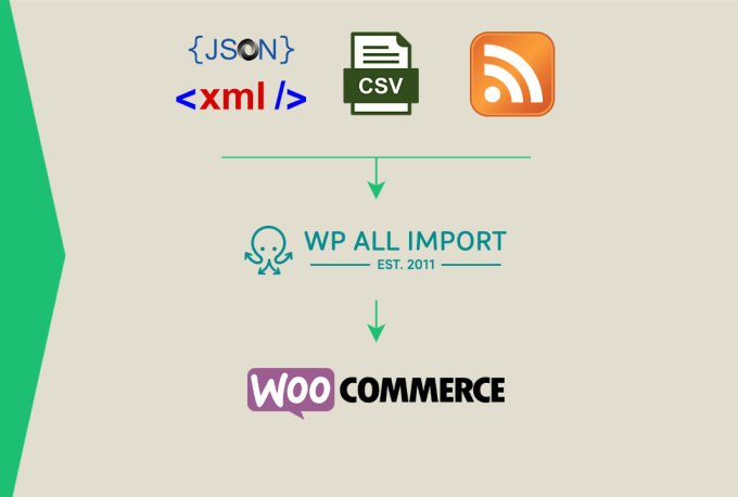Create A Woocommerce Importer From A Json Xml Or Csv File By Dantechstuff Fiverr