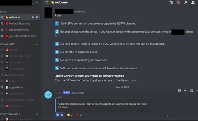 Make you a custom discord by Chrisadval | Fiverr