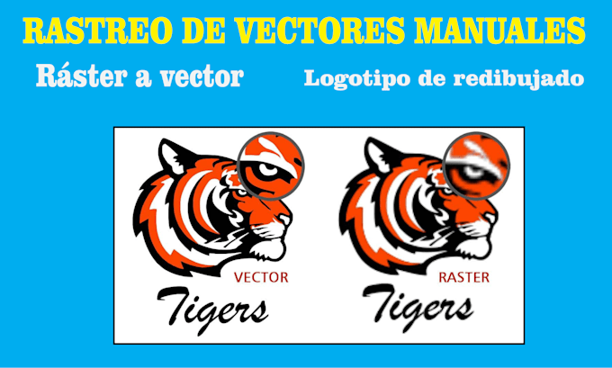 Do manual vector tracing, redesign image, vectorize sketch by ...
