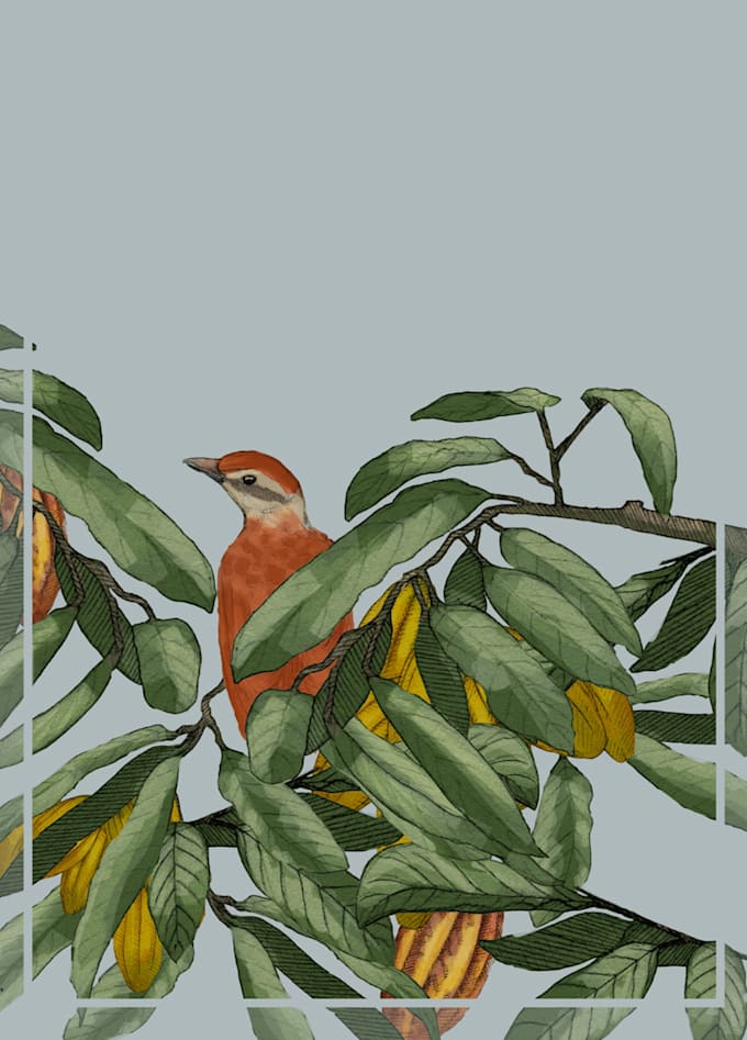 Illustrate any animal and bird in traditional and digitalart by ...