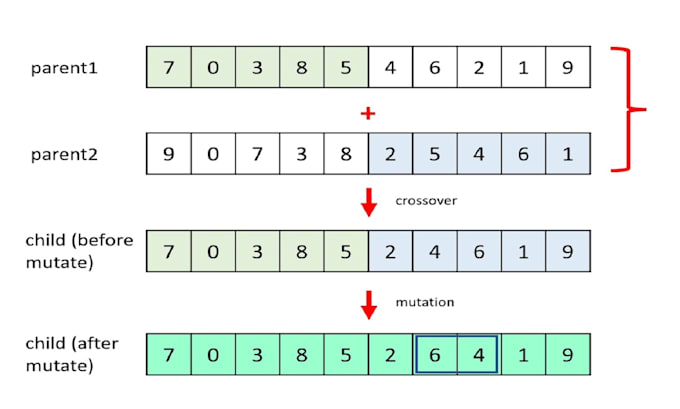 Develop Algorithms To Solve Optimization Problems Using Metaheuristics By Medutok Fiverr
