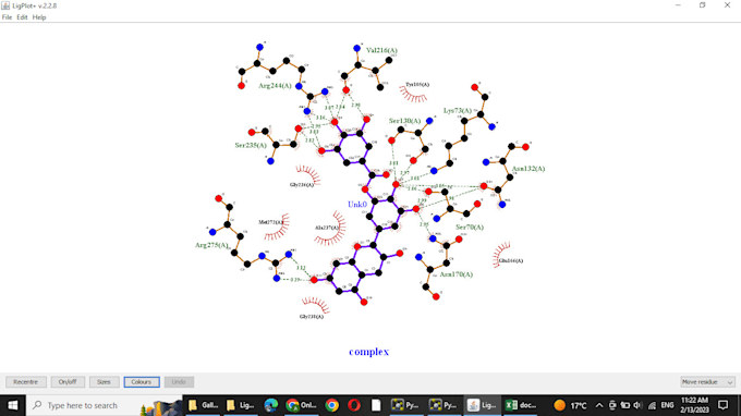 Do molecular docking and structure visualization for you by ...