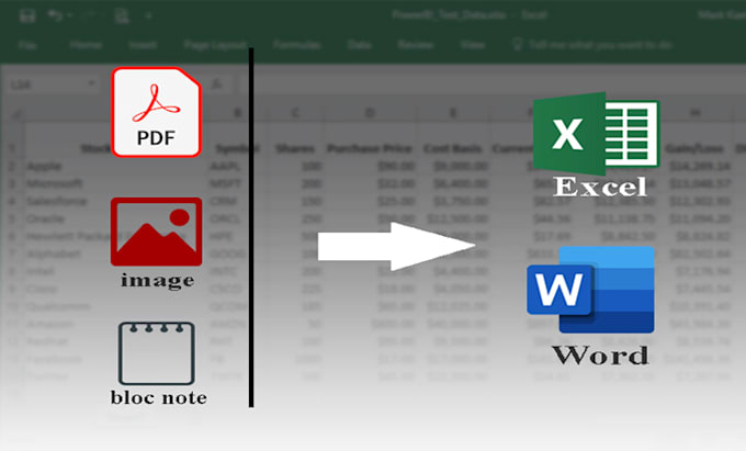 Excel and word data entry by Camarayacouba | Fiverr